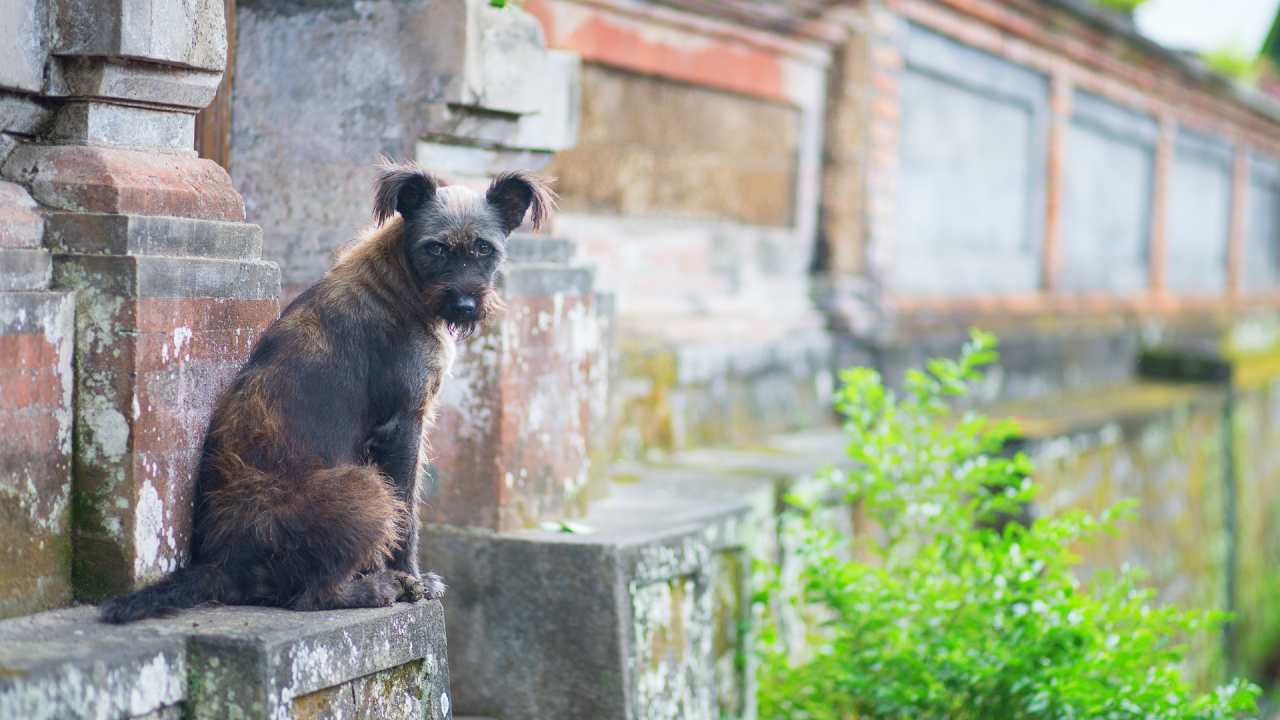 Presidente de la Asociación de Alcaldes solicita a Fortaleza reunión ...